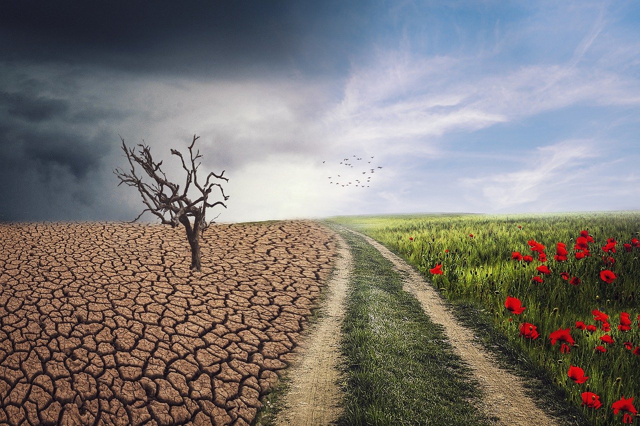 Gestiona el cambio con Inteligencia Emocional - Reinventare